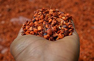 Shiro (food) Facts for Kids