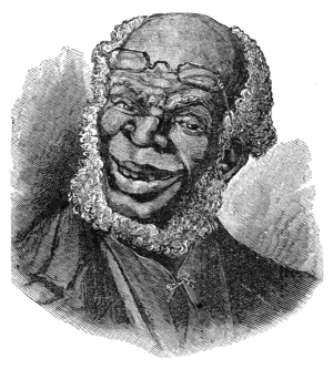 Uncle Remus for Kids