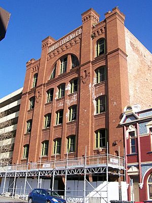 David Cohen & Co. Warehouse Facts for Kids