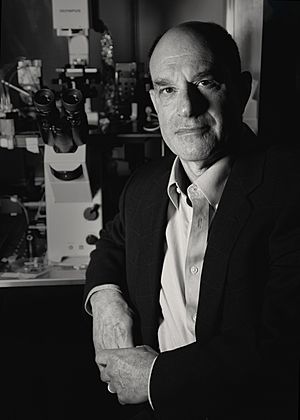 David Julius Facts for Kids