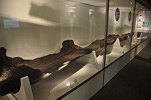 Poole Museum Facts for Kids