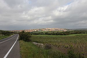 Uri, Sardinia Facts for Kids