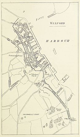 Sack of Wexford Facts for Kids