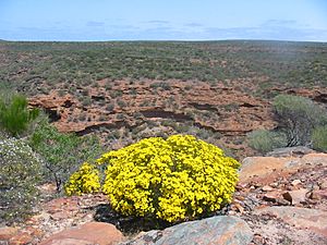 Kalbarri National Park Facts for Kids