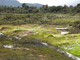 Puracé National Natural Park Facts for Kids