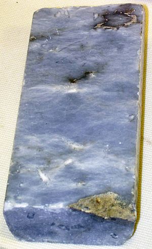 St. Louis Limestone Facts for Kids