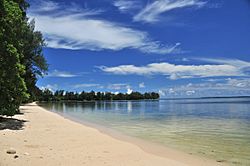 Peleliu Facts for Kids