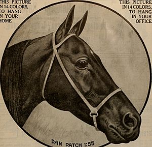 Dan Patch Facts for Kids