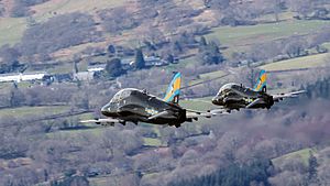 No. 208 Squadron RAF Facts for Kids