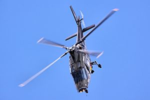 AgustaWestland AW109 Facts for Kids