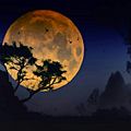 Blue moon Facts for Kids