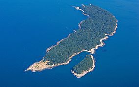 Patos Island Facts for Kids