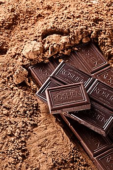 Roshen Facts for Kids