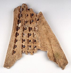 Oracle bone Facts for Kids