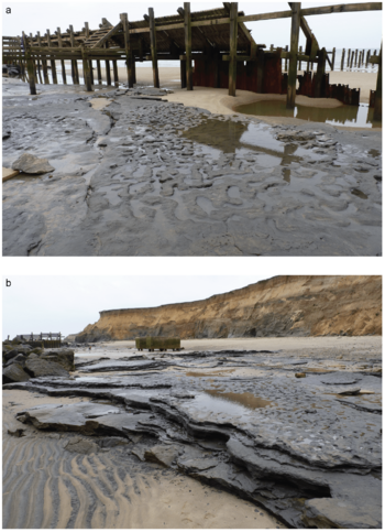 Happisburgh Facts for Kids