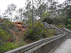 Lillian, Alabama Facts for Kids