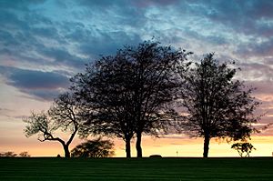 Forest Lawn Memorial Park (Burnaby) Facts for Kids