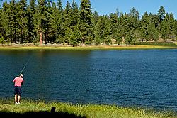 Delintment Lake Facts for Kids