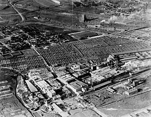 Union Stockyards (Omaha) Facts for Kids