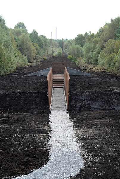 Image: Passage, Alan Counihan , Sculpture in the Parklands Artist panel