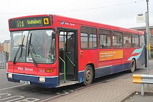 Alexander Strider Facts for Kids