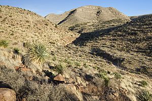 Robledo Mountains Facts for Kids