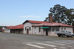 Morisset Hospital Facts for Kids