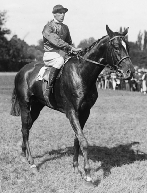 Lemonora (horse) Facts for Kids