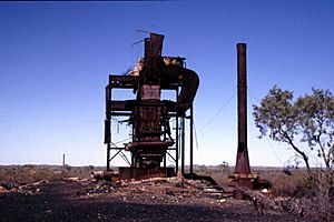 Kuridala Township site Facts for Kids
