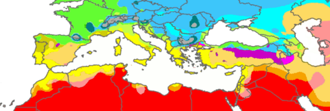 Mediterranean Basin Facts for Kids