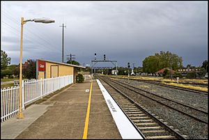 Culcairn railway station Facts for Kids