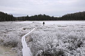 Nancy Lake State Recreation Area Facts for Kids