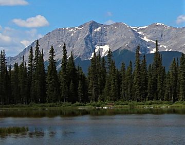 Mount Morrison (Alberta) Facts for Kids