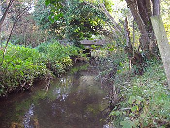 Scarrow Beck Facts for Kids