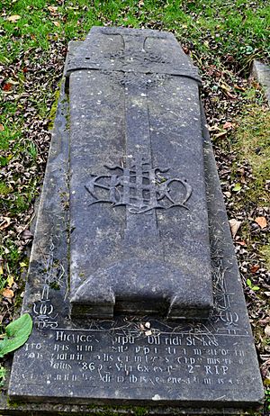 Wilfred Stokes Facts for Kids