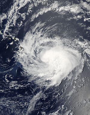 Hurricane Iselle Facts for Kids