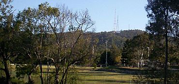 Mount Coot-tha, Queensland Facts for Kids