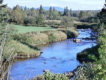 Sauvage River (Felton River tributary) Facts for Kids