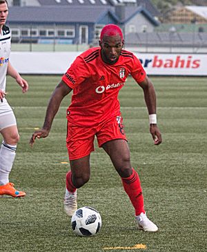 Ryan Babel Facts for Kids