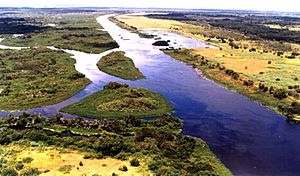 Kissimmee River Facts for Kids
