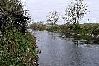 River Clare Facts for Kids