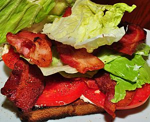 BLT Facts for Kids