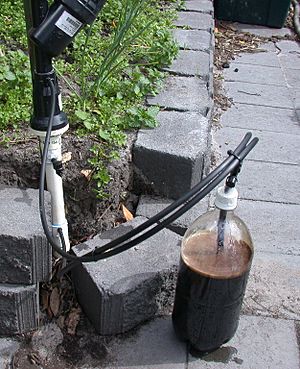 Irrigation in viticulture Facts for Kids