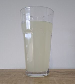 Solo (Australian soft drink) Facts for Kids